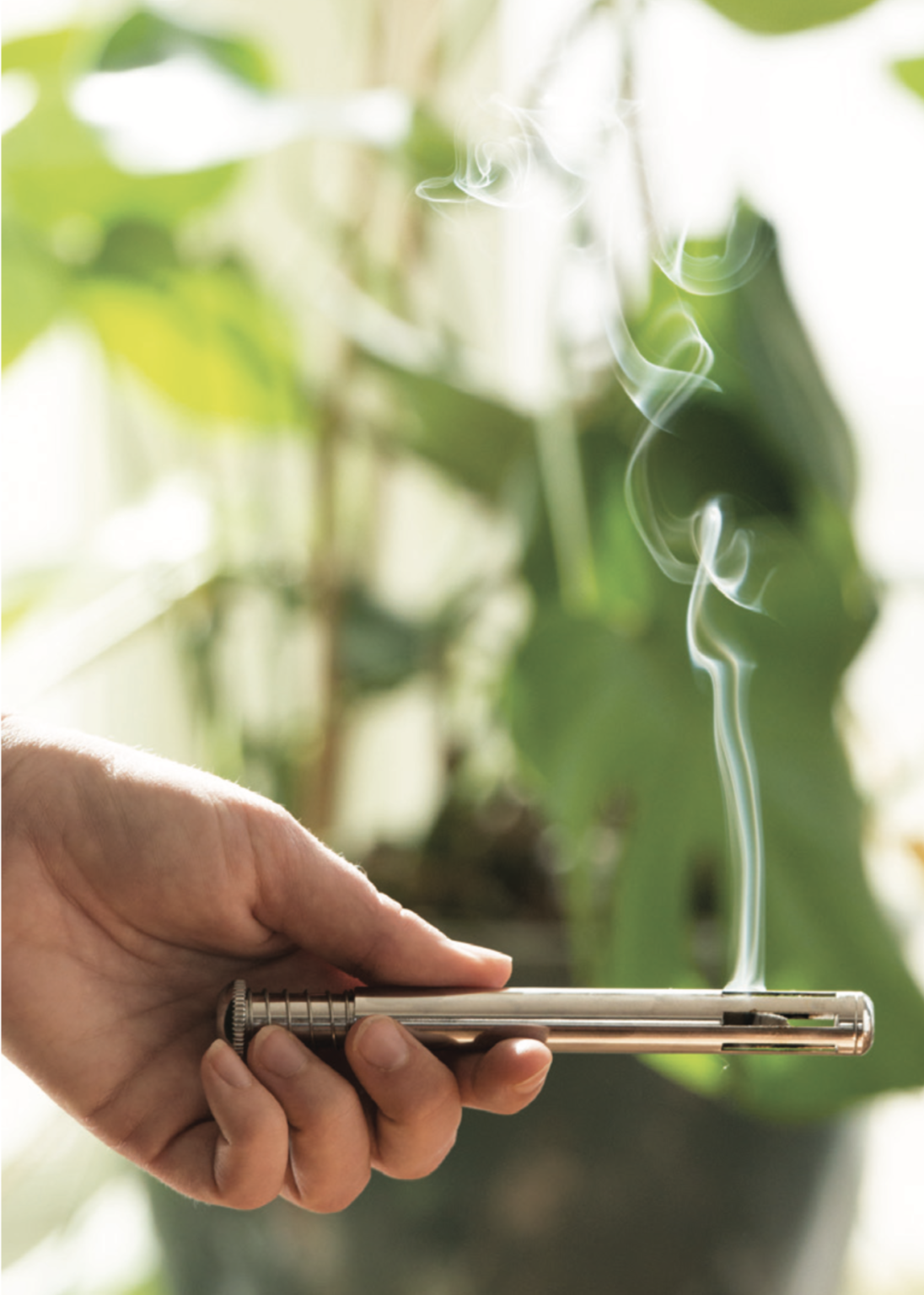 What is Moxa, and The Ancient Healing Art and Practice of Moxibustion