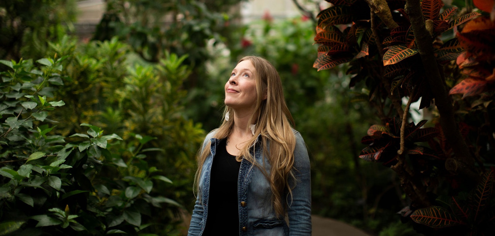 Offerings - Mindi K. Counts