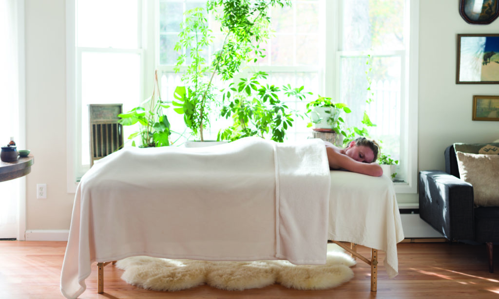 Five Element Healing Intensive - Mindi K. Counts